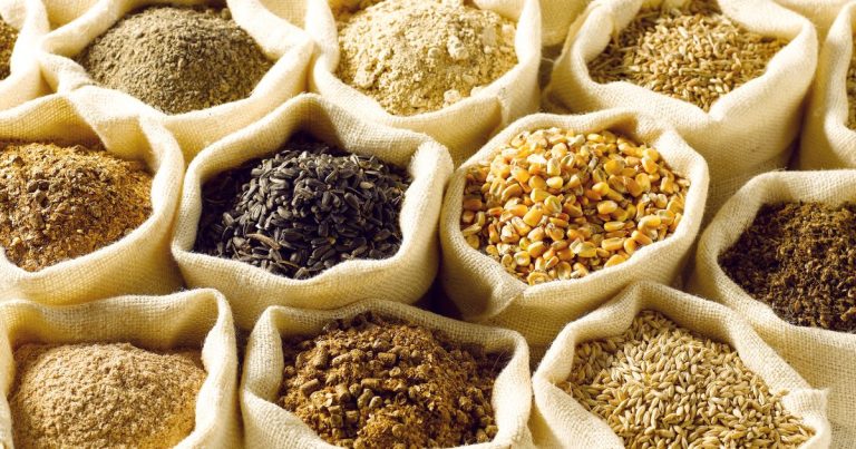 What are some Mediterranean Diet-Friendly Grains? - The Mediterranean ...